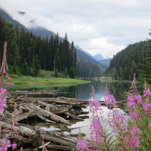 Photos of Canada, a collection of images from The Rockies to Vancouver