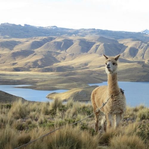 Photos of Peru, A collection of images from Machu Picchu to Lake Titicaca