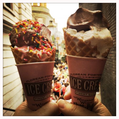 Top rides at Universal Studios, Orlando. Are you an adrenaline junkie?